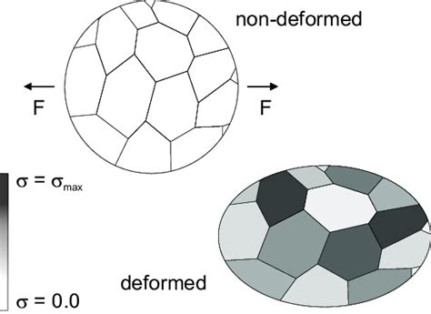Non Deformed And Deformed Material Point Download Scientific Diagram