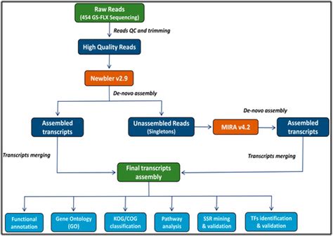 Ijms Special Issue Comparative Genomics And Functional Genomics Analysis In Plants