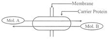 Factor Thataffect The Diffusion Is Factor Thataffect The Diffusion Is