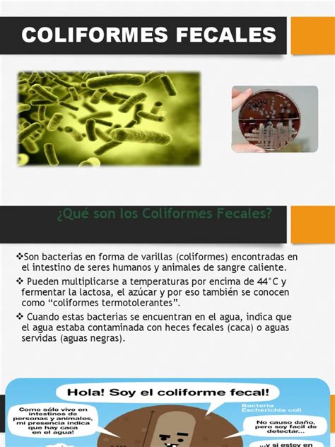 Coliformes Fecales Pdf