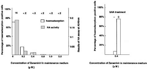 Effect Of Zanamivir On Haemadsorption A Haemadsorption And The Na Download Scientific