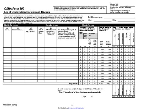 Osha Form 300 Pdfsimpli