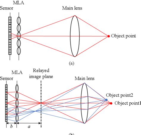 Figure 1 From Learned Focused Plenoptic Image Compression With Microimage Preprocessing And