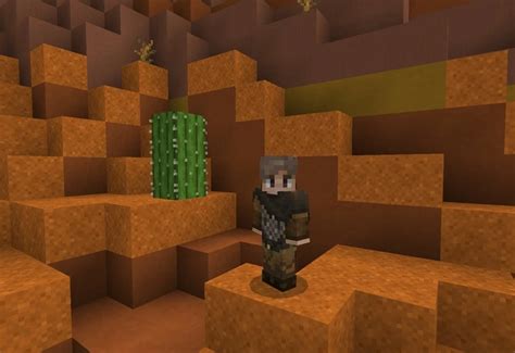 ¿dónde Se Consigue ️ Terracota En Minecraft