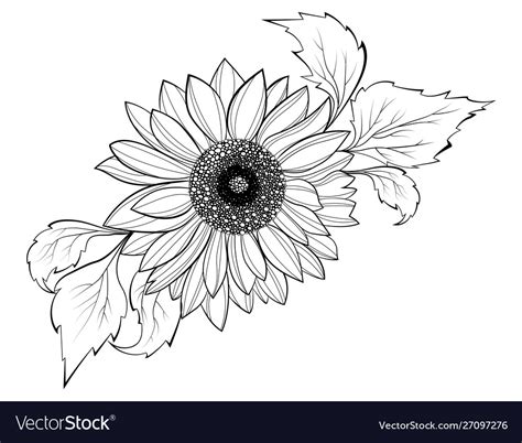 Sunflower Black And White Emoji At Georgia Lucas Blog