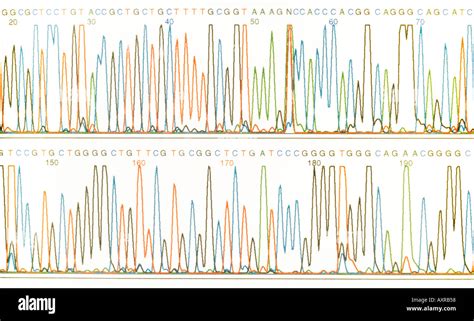 Chromatogram Sequencing At Ronald Stinson Blog