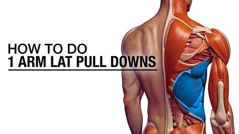 One Arm Cable Lat Pulldown