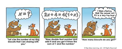 Solving Equations Math Cartoons Solving Equations Big Ideas Math