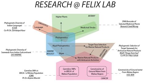 An Example Of Interdisciplinary Research Flow Chart Spanning Download Scientific Diagram