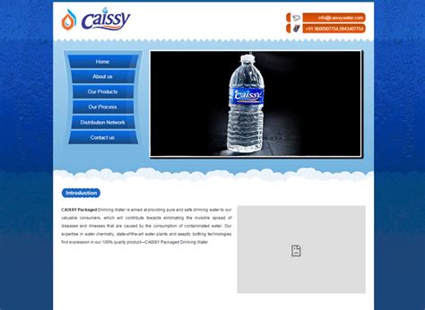 Caissy Website Designers In Madurai