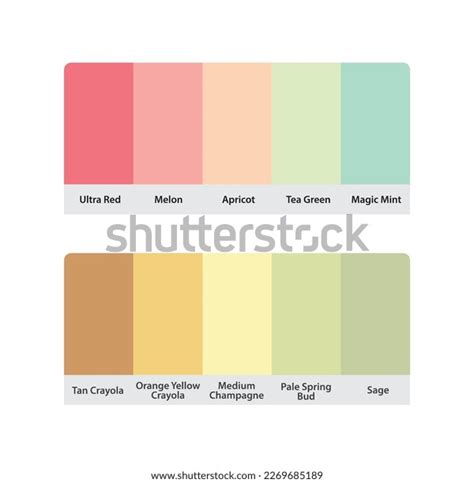 20 5 Matching Layout Stock Vectors Images And Vector Art Shutterstock