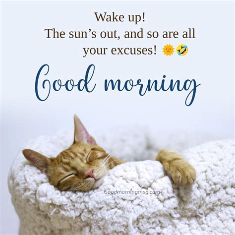 Good Morning Funny Memes Images
