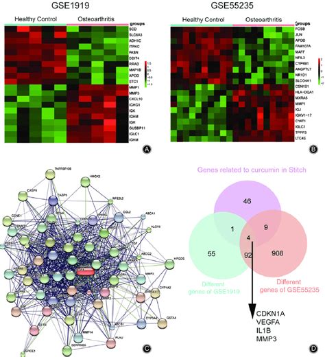 Chip Analysis And Gene Screening A Unsupervised Top 20 Differential Download Scientific
