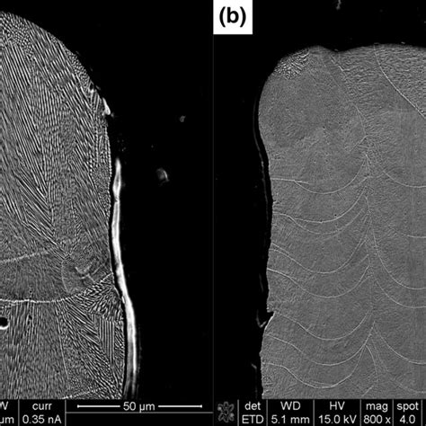 Microstructure At The Top Of The Wall Of The A 1 Track B 4 Track Download Scientific Diagram