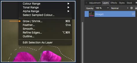 delete selected area of a layer pre v2 archive of affinity on desktop