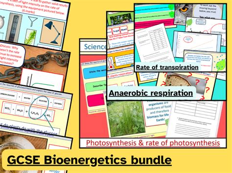 Bioenergetics Complete Gcse Unit Teaching Resources
