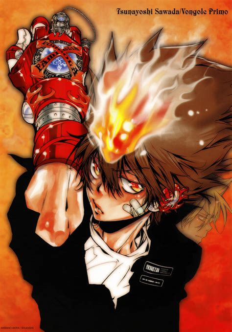 Katekyo Hitman Reborn Tsuna Vongola Gear