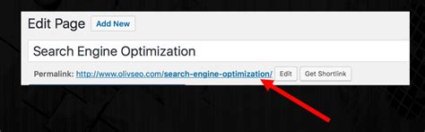 Wordpress And Seo Step By Step Guide On How To Optimize Your Website