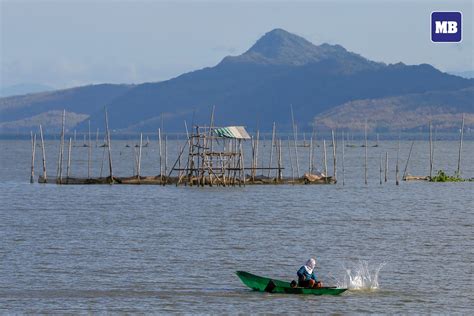 Manila Bulletin Look Photos Show A Fish Pen At Laguna De Bay In The