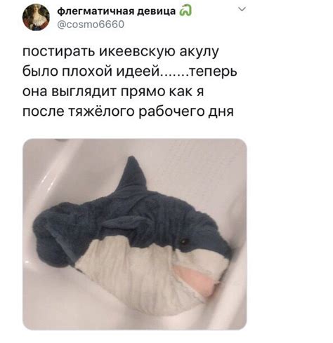 Пин на доске Мемы