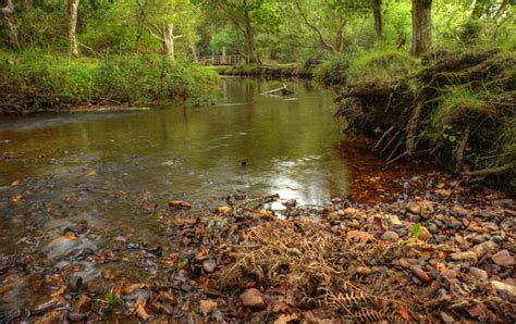 รูปภาพpersepctive เลือกดูภาพถ่ายสต็อก เวกเตอร์ และวิดีโอ118 Adobe Stock
