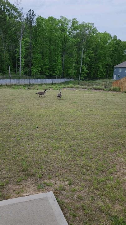 Sylvan Lashley On Linkedin Leadership Is Exploration Even With Humans