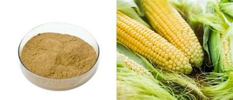 High Quality Corn Silk Extract Manufacturers Suppliers Factory Direct Wholesale Joywin