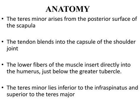 Teres Minor Tear Test Ppt