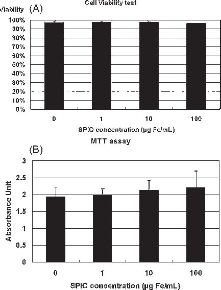 Cell Viability Test A And Mtt Proliferation Assay B Of Macrophages