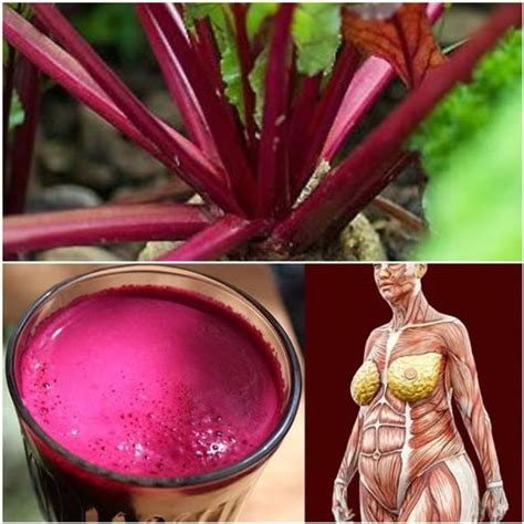 Discover The Wonders Of Beetroot Juice 🥤🌿 Green Tricks