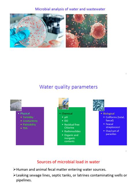 Microbial Water Quality Analysis Guide Pdf Water Pollution Biofilm