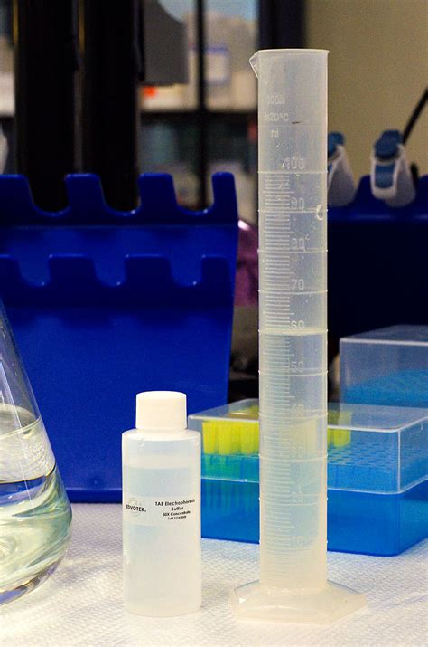 Solving Your Dilution Dilemma The Official Blog Of Edvotek®