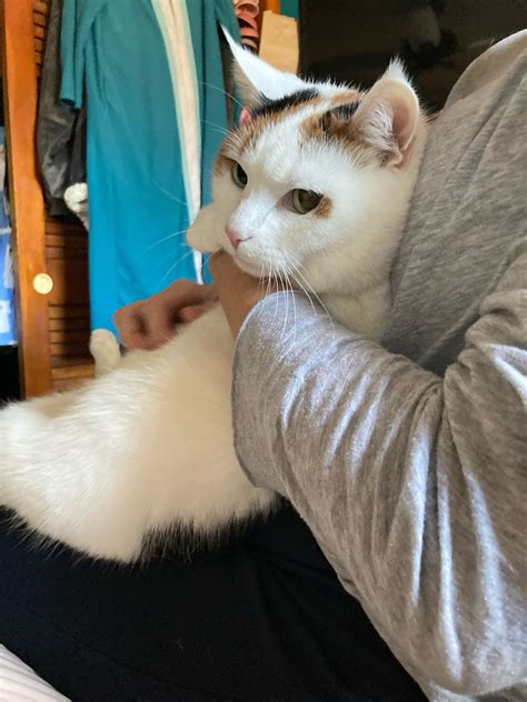 The Indignity R Thisismylifemeow