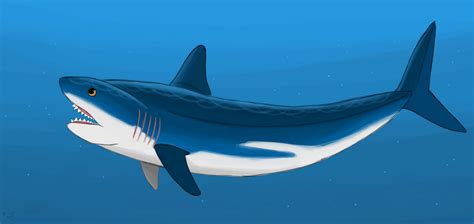 Edestus Sketch Colored By Evilershark204 On Deviantart