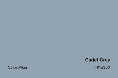 Cadet Grey Color 91a3b0 Codes And Complete Breakdown