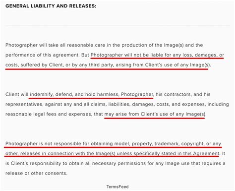 Terms And Conditions Agreement For Photography Websites Termsfeed