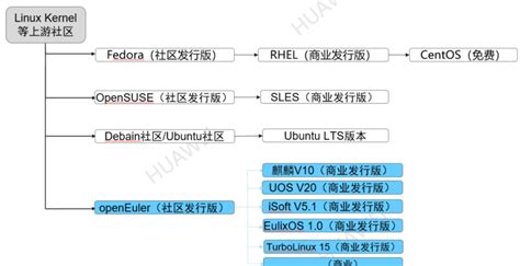 Linux 手把手带你玩转 Openeuler 初识 Openeuler 个人文章 Segmentfault 思否