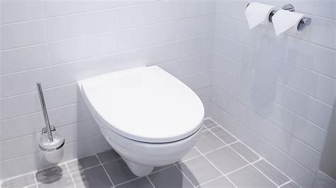 Horrifying Truth About What Happens If You Close The Loo Lid When You Flush Heres How To Avoid