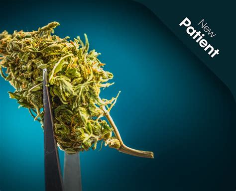 Medical Cannabis New Patient Series Releaf Uk