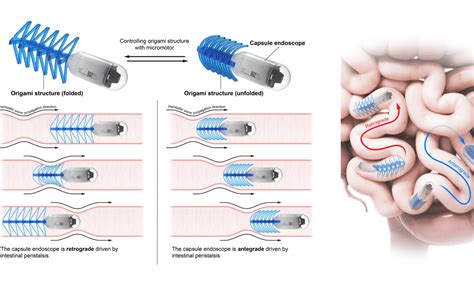 Dyson School Excels In Amazon Imperial Robotics Awards Imperial News Imperial College London