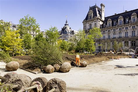 La Forêt Urbaine De Lhôtel De Ville Prend Vie Ce Ville De Paris