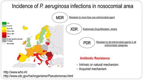 Ready To Eat Vegetables As New Sources Of Contamination Infection Of
