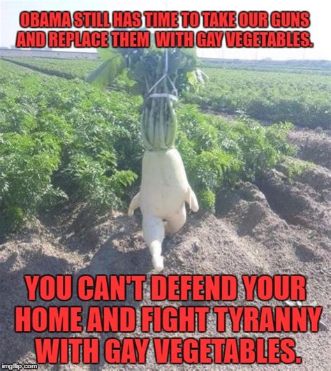 Gay Veggies Imgflip