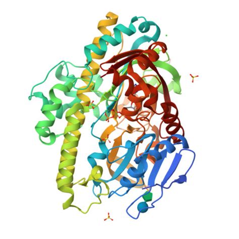 Rcsb Pdb 8dcb Rna Ligase Rtcb From Pyrococcus Horikoshii In Complex With Ni2 And Gtp