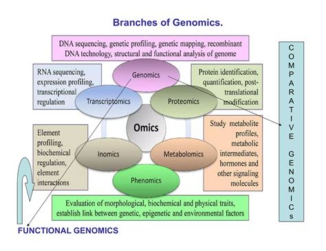 Microbial Genomics And Surveillance An Overview Snapshot For A Laymans Understanding Ppt