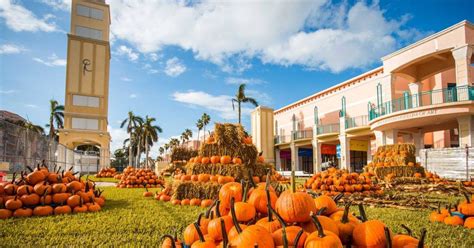 The 11 Best Fall Festivals In Florida For 2024 Will Put You In The Autumnal Spirit