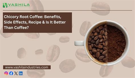 Chicory Root Coffee Benefits Side Effects And How To Make It