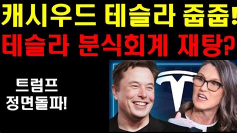 캐시우드 테슬라 줍줍 지금 쓸어담자 테슬라 분식회계 사건 도대체 뭐야 테슬라 자율주행 우월성 트럼프가 집중 하는 이것은 팔란티어 엔비디아 미래는 어디로 가나