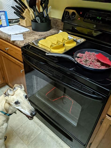 Mae Loves Taco Night Scrolller