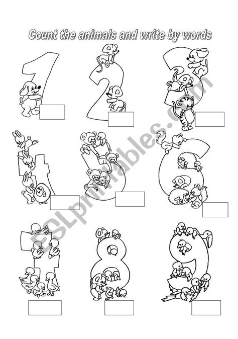 Counting Esl Worksheet By Sashka Djadjarova